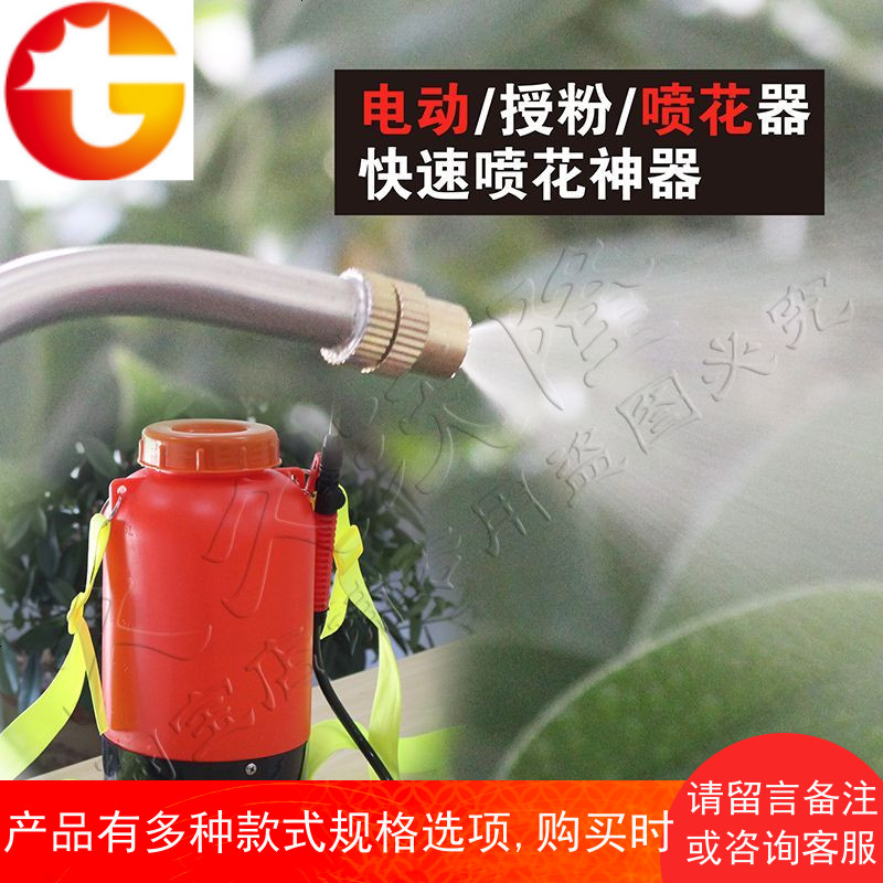 赢夫人(Mrs win)报价_参数_图片_视频_怎么样_问答-苏宁易购