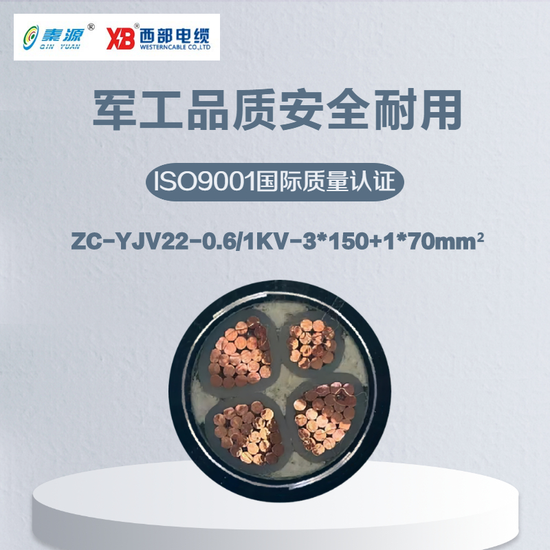 秦源牌 ZC-YJV22-0.6/1KV-3*150+1*70mm² 阻燃铜芯铠装电力电缆 元/米 定制商品 联系客服参数配置_规格_性能_功能-苏宁易购