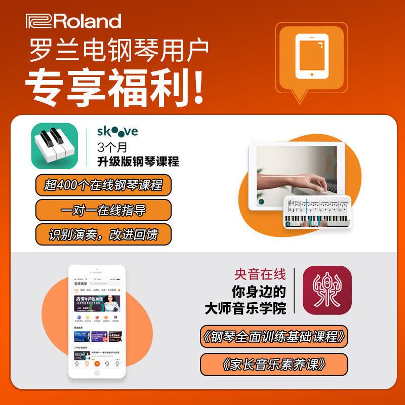 罗兰(Roland)电钢琴FP18智能电子钢琴88键重锤便携式成人儿童初学者家用钢琴黑色【价格 图片 品牌 报价】-苏宁易购