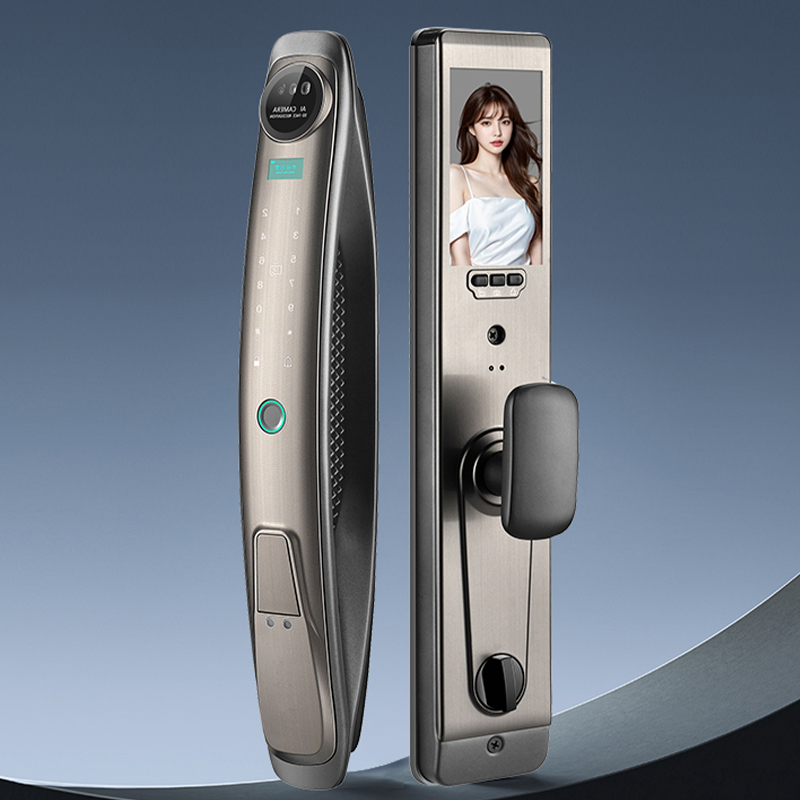 德施曼(DESMAN)智能门锁Q5MPRO（标准版）报价_参数_图片_视频_怎么样_问答-苏宁易购