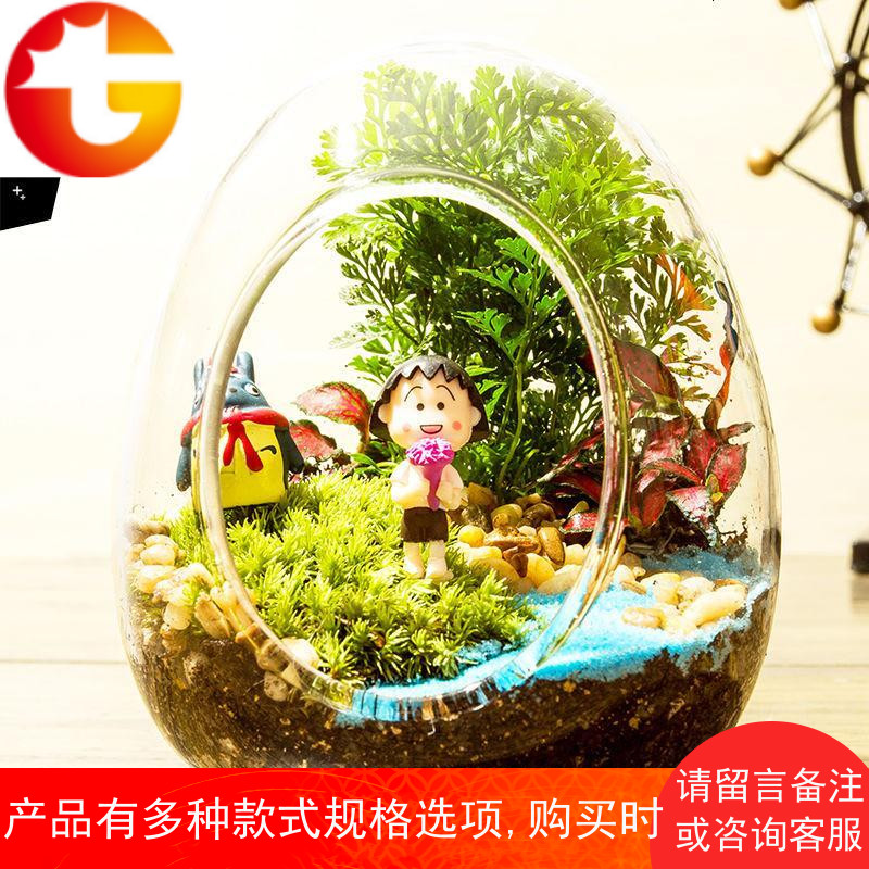 赢夫人(Mrs win)报价_参数_图片_视频_怎么样_问答-苏宁易购