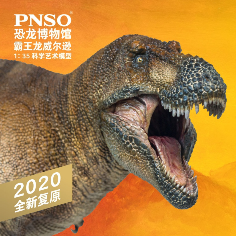 pnso霸王龙20,霸王龙最大的20米,霸王龙(第3页)_大山谷图库