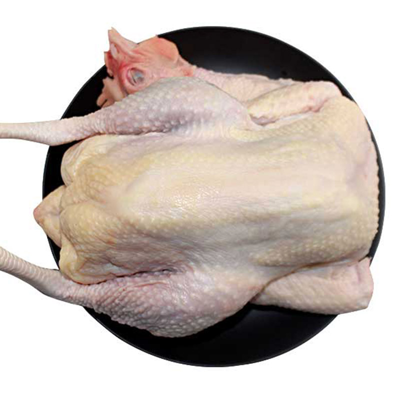 天农优品TINOO S DELICIOUS 国产 海南 文昌鸡 800g/只 新鲜农家散养土鸡 冰鲜禽肉 简装视频介绍_天农优品TINOO S ...