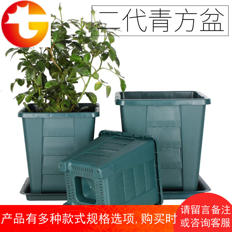 赢夫人(Mrs win)园艺用品报价_参数_图片_视频_怎么样_问答-苏宁易购